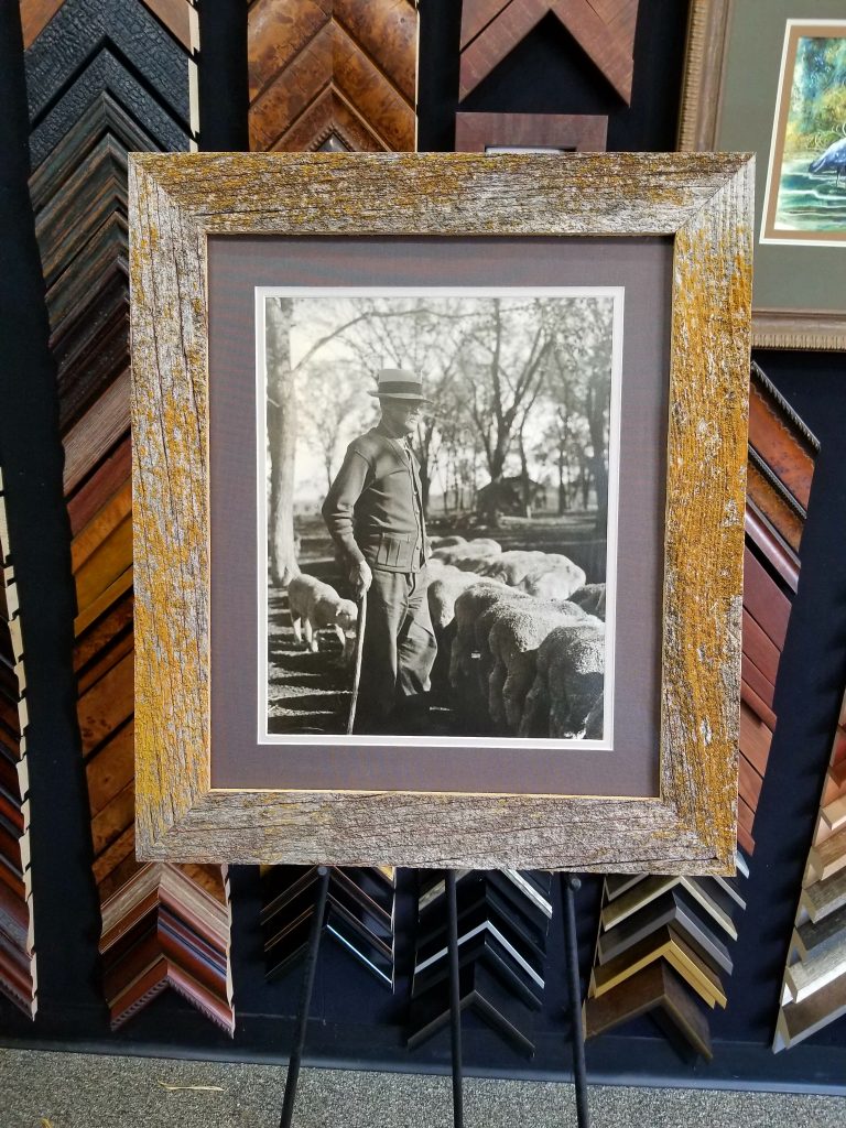 Portfolio - Colorado Frames